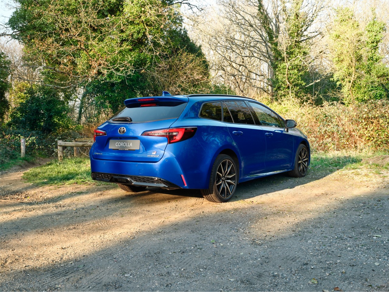 corolla juniper blue