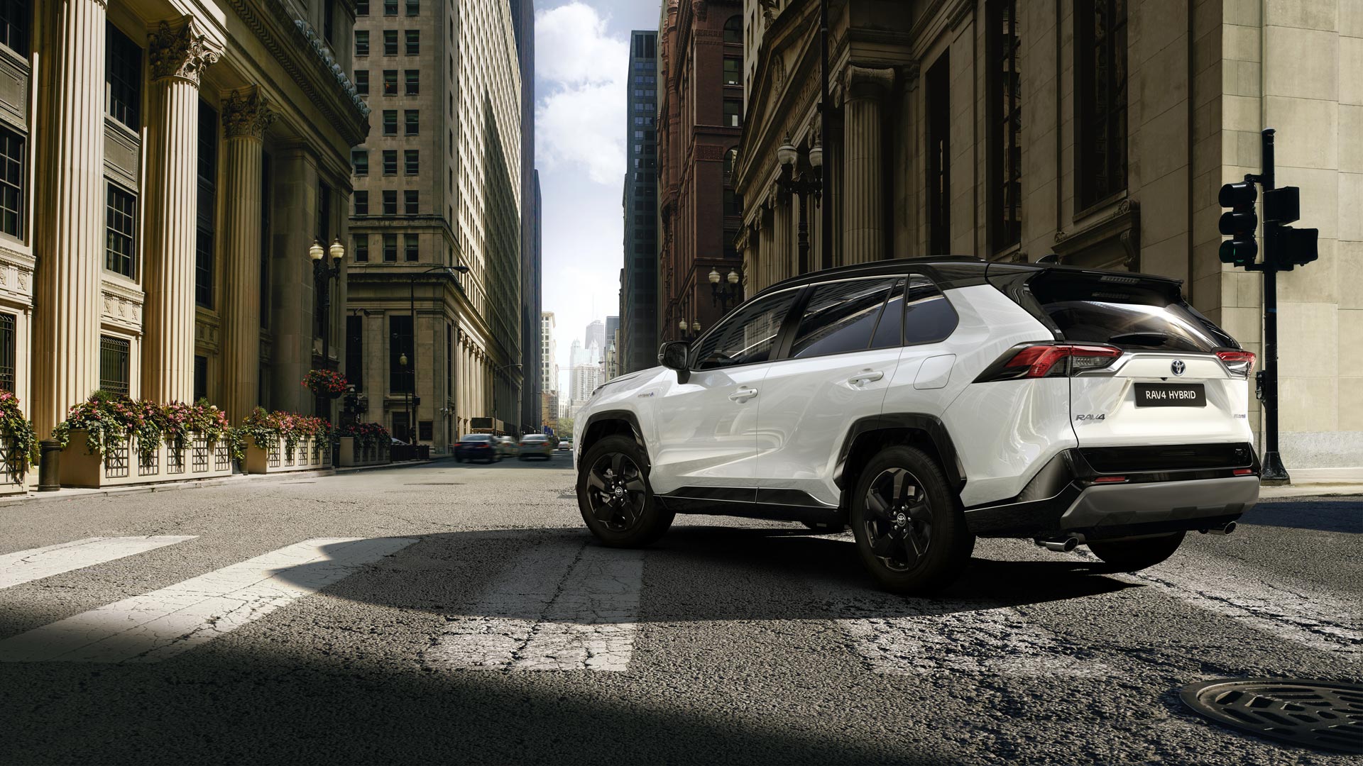 Toyota RAV4 | Explore the Latest RAV4 Range | Toyota UK